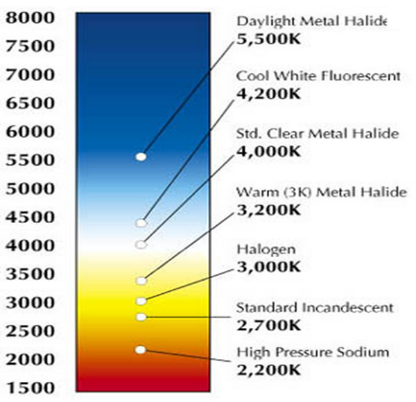 商用照明光源怎么选？—— CWF和TL84的区别 - 知乎