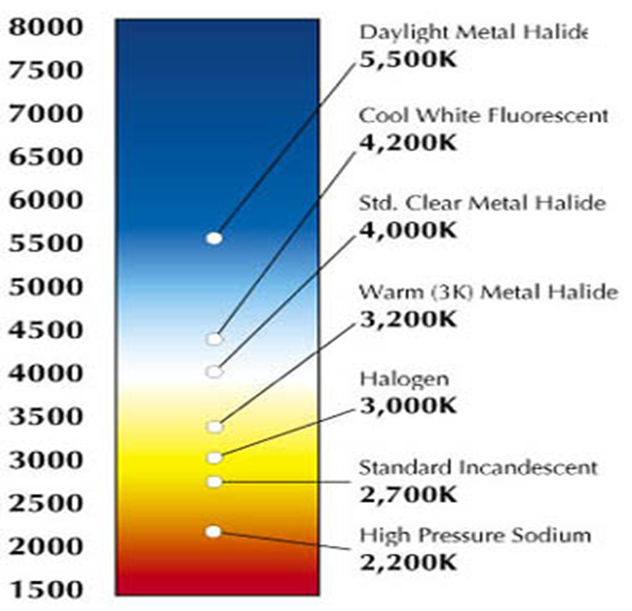 商用照明光源怎么选？—— CWF和TL84的区别 - 知乎