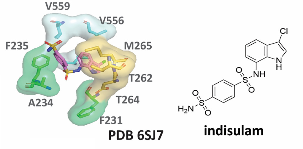 【Cell Chemical Biology】降解型分子胶分子机制总结 - 知乎