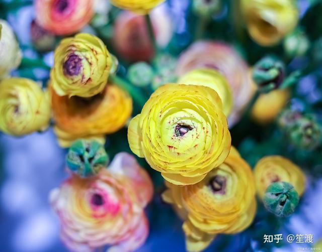 让未来到来,让过去过去—新联在线 知乎