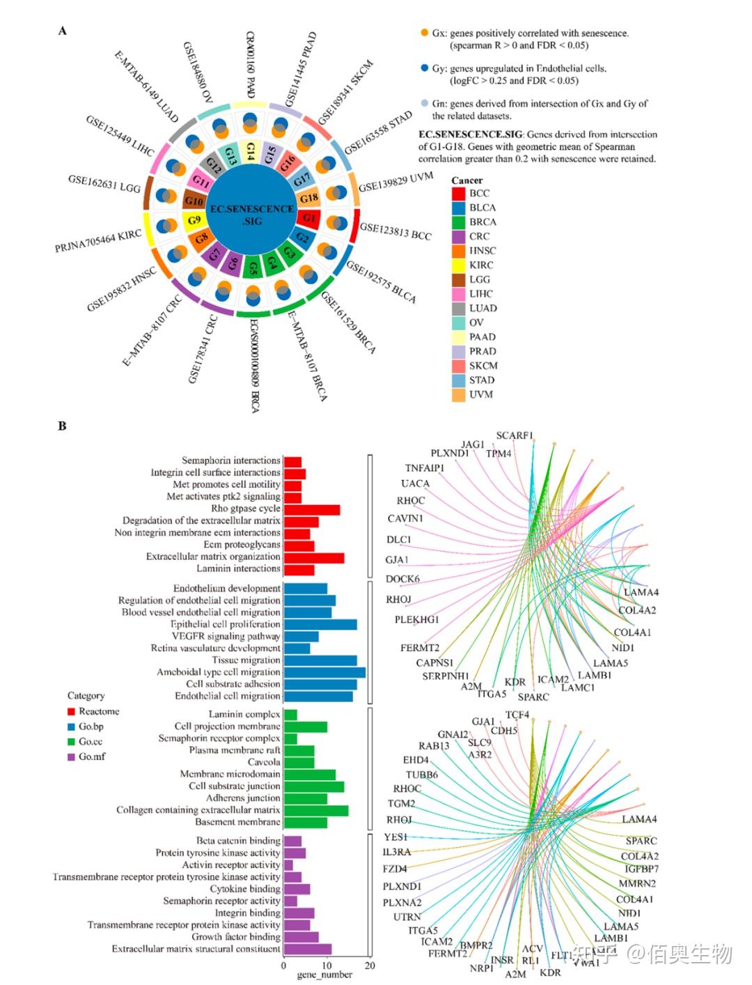 2023年只有7张Figure的纯生信泛癌预后模型发12分+1区期刊 - 知乎