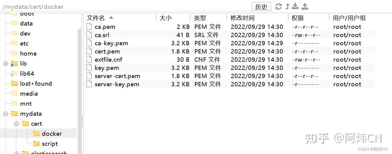 Docker开启tls和ca认证 解决暴露2375端口引发的安全漏洞 并使用idea连接并推送镜像 知乎