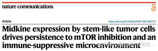 干细胞样肿瘤细胞的Midkine表达驱动mTOR抑制和免疫抑制微环境的持续（三） - 知乎