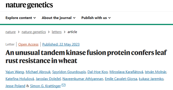 Nature Genetics | 王亚军博士等揭示新型串联激酶融合蛋白WTK6-vWA介导小麦叶锈病抗性 - 知乎
