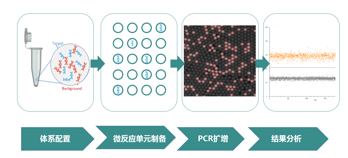 ddPCR 数字PCR检测服务 - 知乎