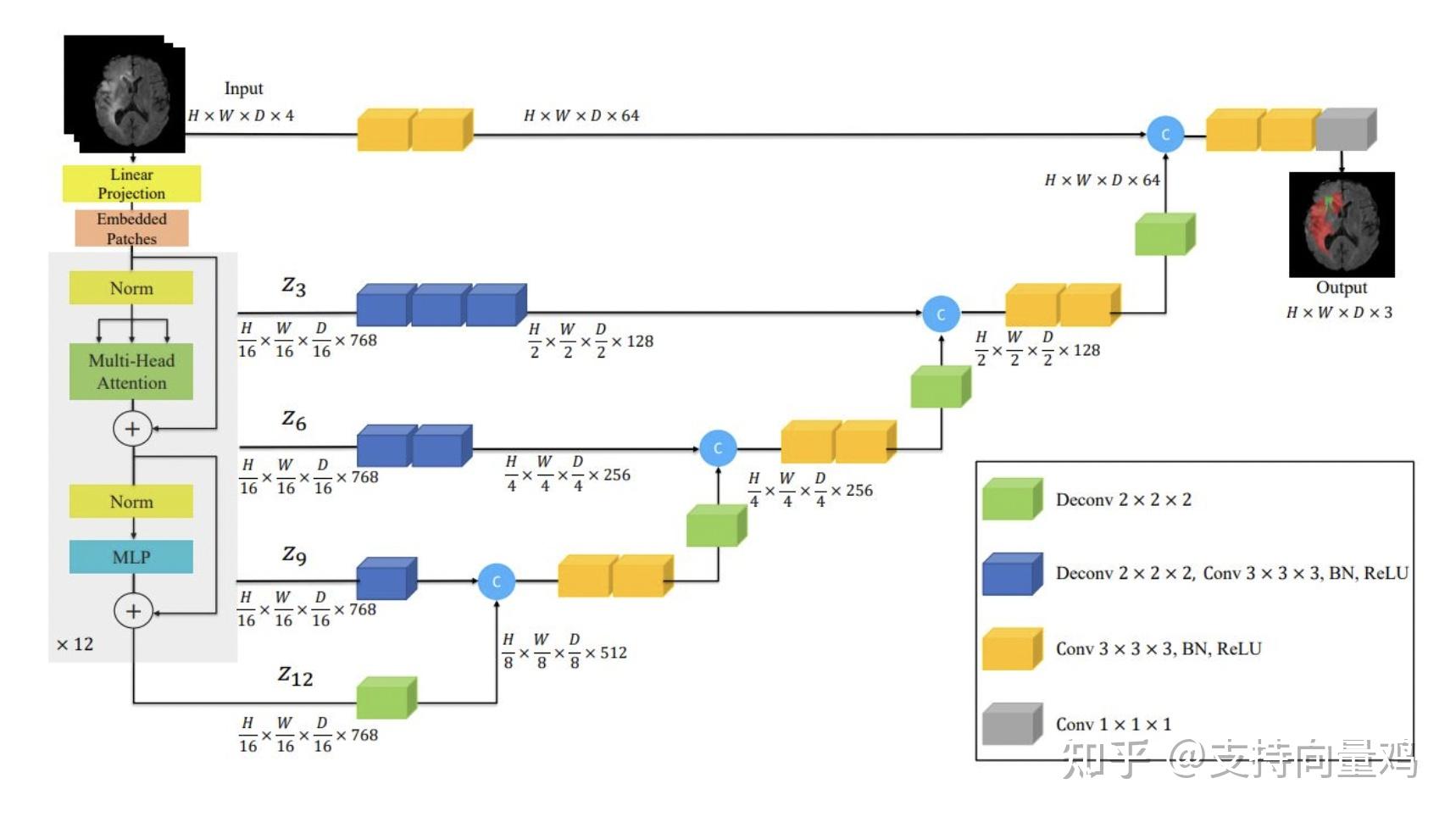 【Transformer系列】UNETR代码详解 - 知乎