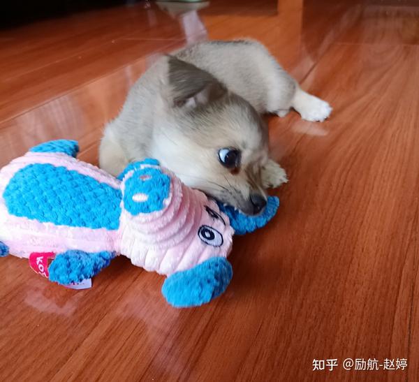 Cp 有哪些好的科研习惯? 知乎