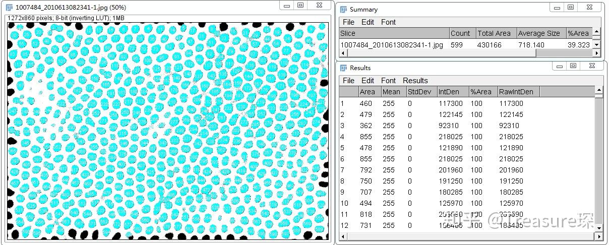 ImageJ实用技巧——计算孔隙率(定量分析篇) - 知乎