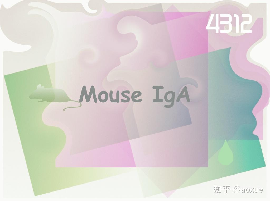Mouse IgA产品说明书 - 知乎