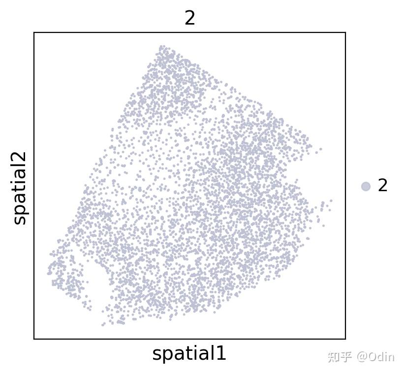 教程：用scanpy和squidpy分析单细胞空间转录组数据 - 知乎