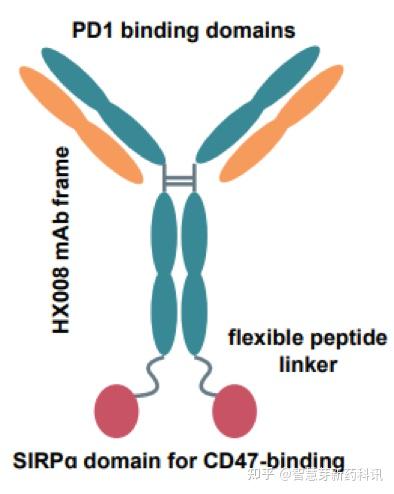 PD-1多靶点药物研发进展一览 - 知乎