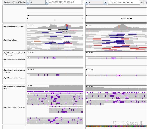 服务器安装IGV并在本地电脑使用 - 知乎