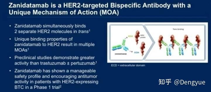 加速批准 Ziihera 注射液用于 HER2 靶向治疗 - 知乎