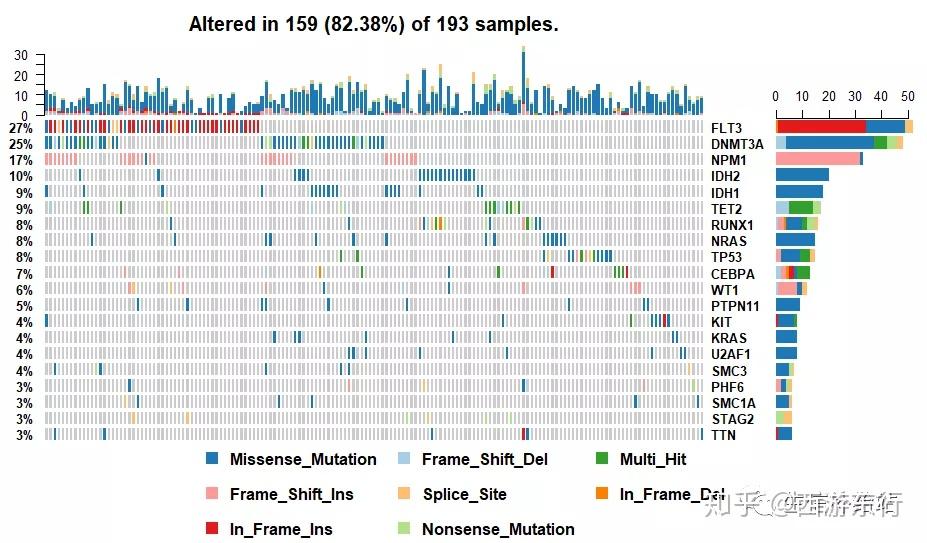 maftools | 从头开始绘制发表级oncoplot（瀑布图） - 知乎