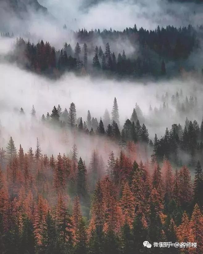 秋天的最后一个节气。 霜降 - 知乎