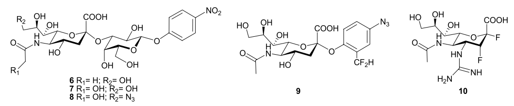 J. Med. Chem. | 神经氨酸酶（NA）——结构和病理
