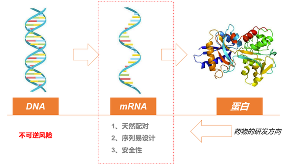 行研 | RNA时代加速？RNA赛道梳理 - 知乎