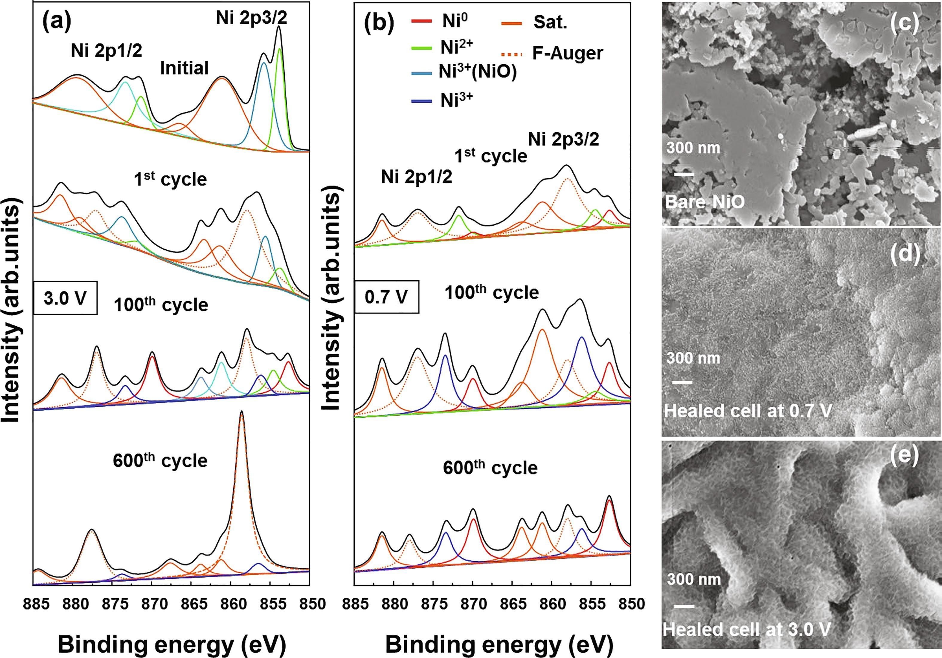LiNiO2做负极?还能跑10000圈？ - 知乎