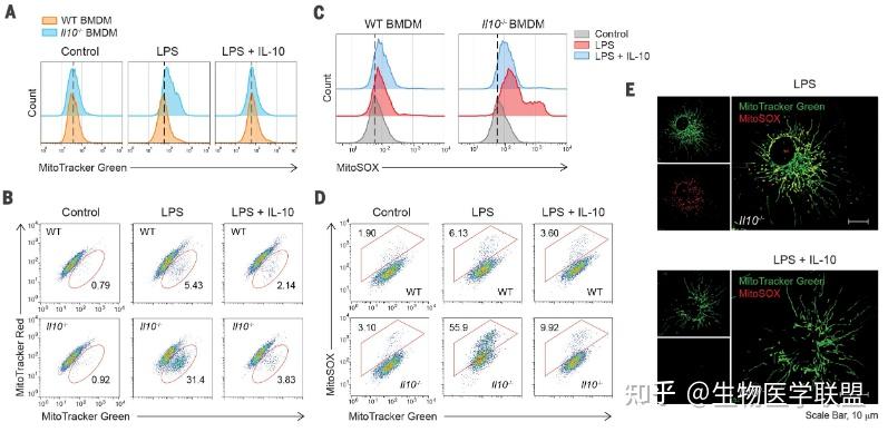 Science发文解释了炎症性肠病之谜：IL-10与巨噬细胞代谢的关键调控 - 知乎