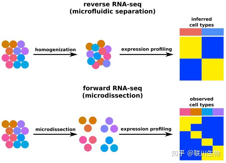 FFPE单细胞测序是什么？如何挽救冻存样本？ - 知乎