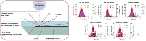 exosome外泌体粒径分析方法 | 三种技术比较 - 知乎