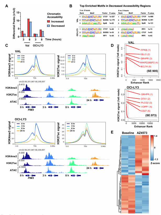 Molecular Cancer|CDK9抑制诱导表观遗传重编程，揭示了规避淋巴瘤耐药性的策略 - 知乎