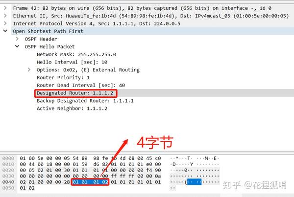 OSPF报文格式 - 知乎