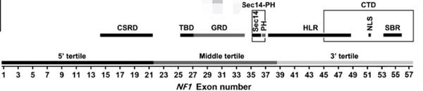 基因解“遗” || 神经纤维瘤病概述（上） - 知乎