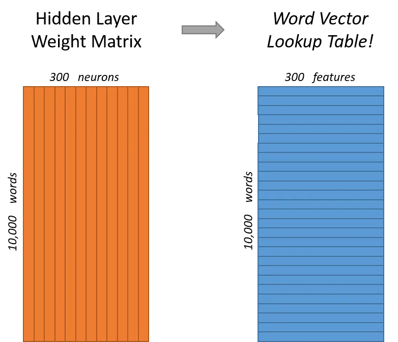 LLM架构从基础到精通之 Word2Vec 训练全解析 - 知乎