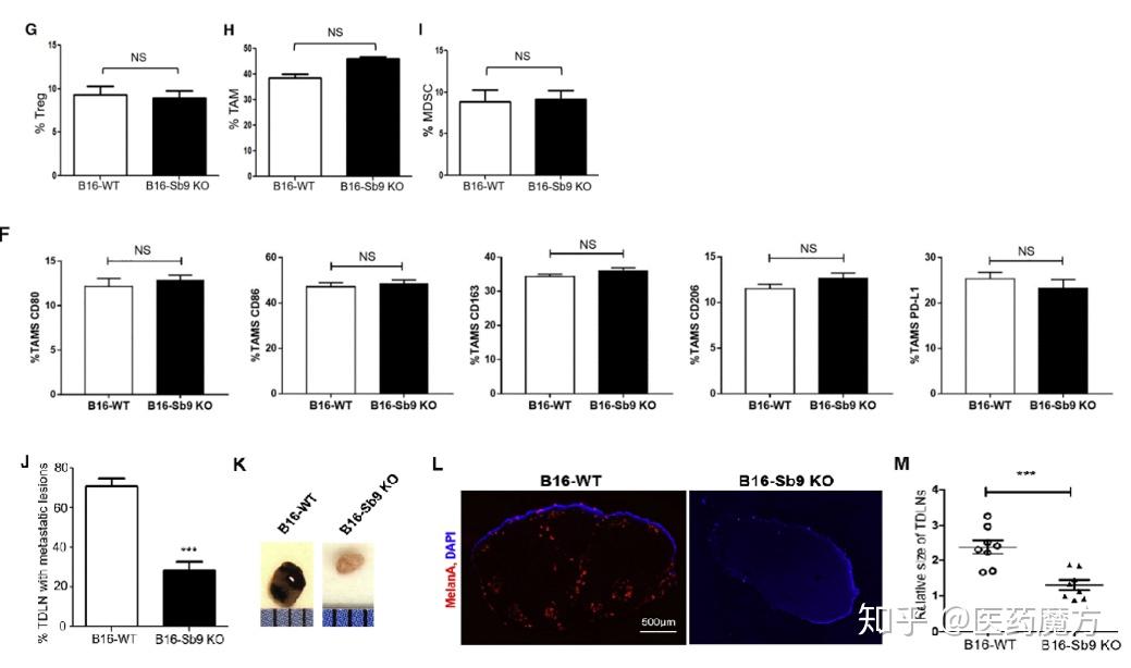 Cell：癌症免疫治疗新靶点——SerpinB9 - 知乎