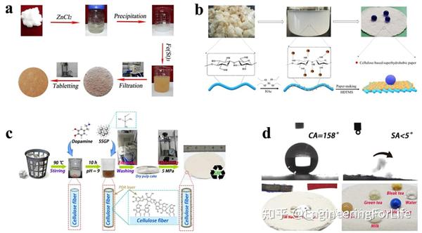 《Carbohydrate Polymers》综述：纤维素纸基材料的超疏水改性 - 知乎