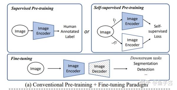 详解一篇CLIP应用在语义分割上的论文（CVPR 2022） - 知乎
