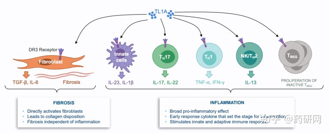 108亿美元，Prometheus管线及技术梳理 - 知乎