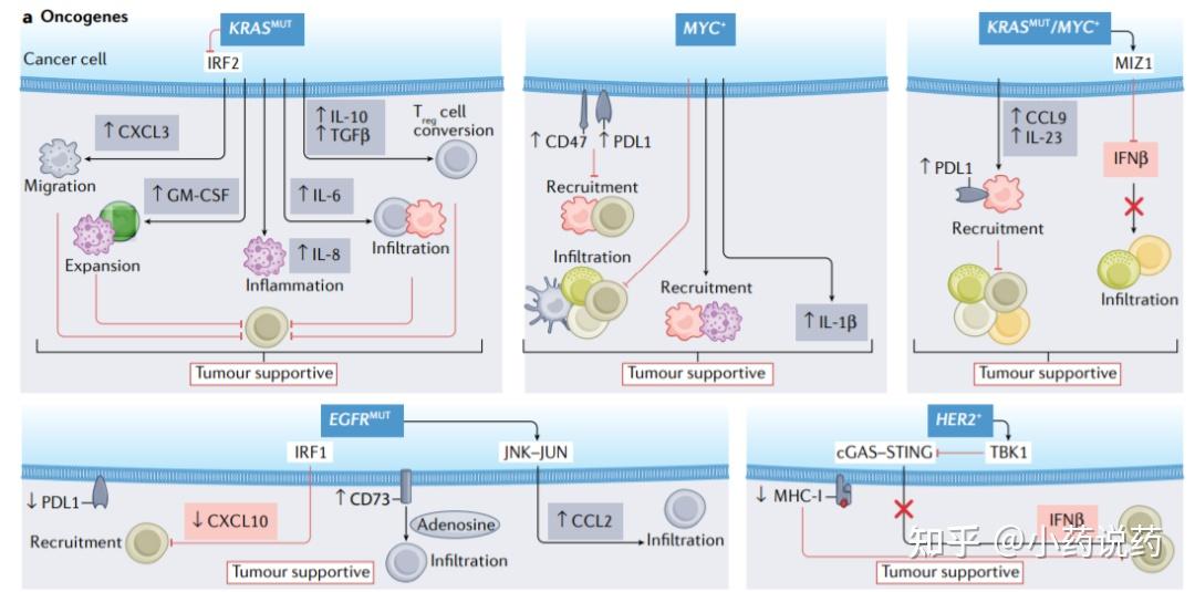 驱动癌症细胞免疫调节功能的机制 - 知乎