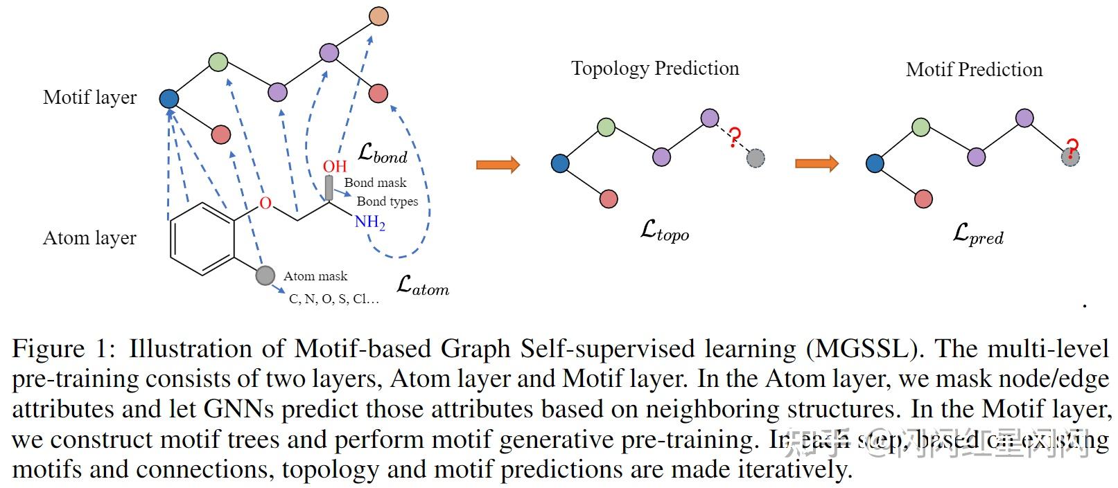 文献精读 | NIPS2021,用于分子特性预测的基于 Motif 的图自监督学习 - 知乎