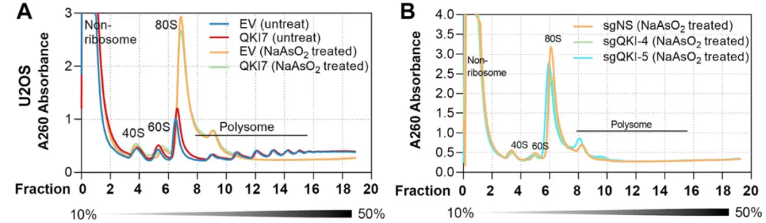 翻译组学测序研究利器|Ribo-seq&Polysome-seq - 知乎