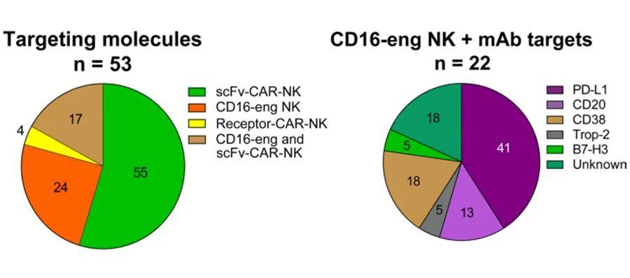 增强NK细胞ADCC的重要蛋白—CD16a - 知乎