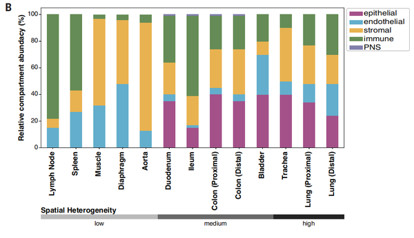 Science | The Tabula Sapiens：人类的多器官、单细胞转录组图谱 - 知乎