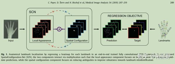 spatial configuration into heatmap regression - 知乎