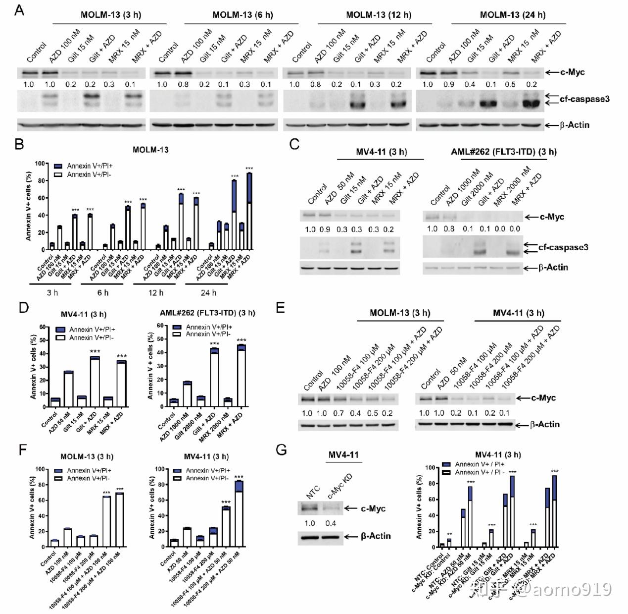 AbMole科研-抑制Mcl-1协同增强Gilteritinib和MRX-2843在FLT3突变AML临床前模型中的抗白血病活性 - 知乎