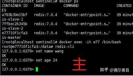 docker compose搭建redis7.0.4高可用一主二从三哨兵集群并整合SpringBoot - 知乎