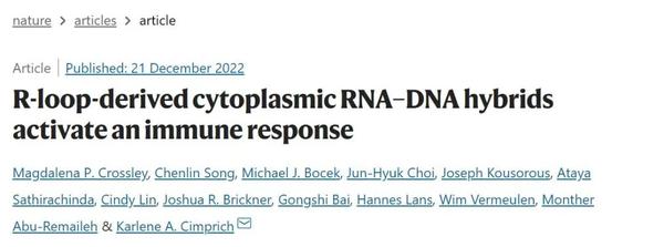 Nature | R-环衍生的RNA-DNA杂交体激活免疫应答 - 知乎