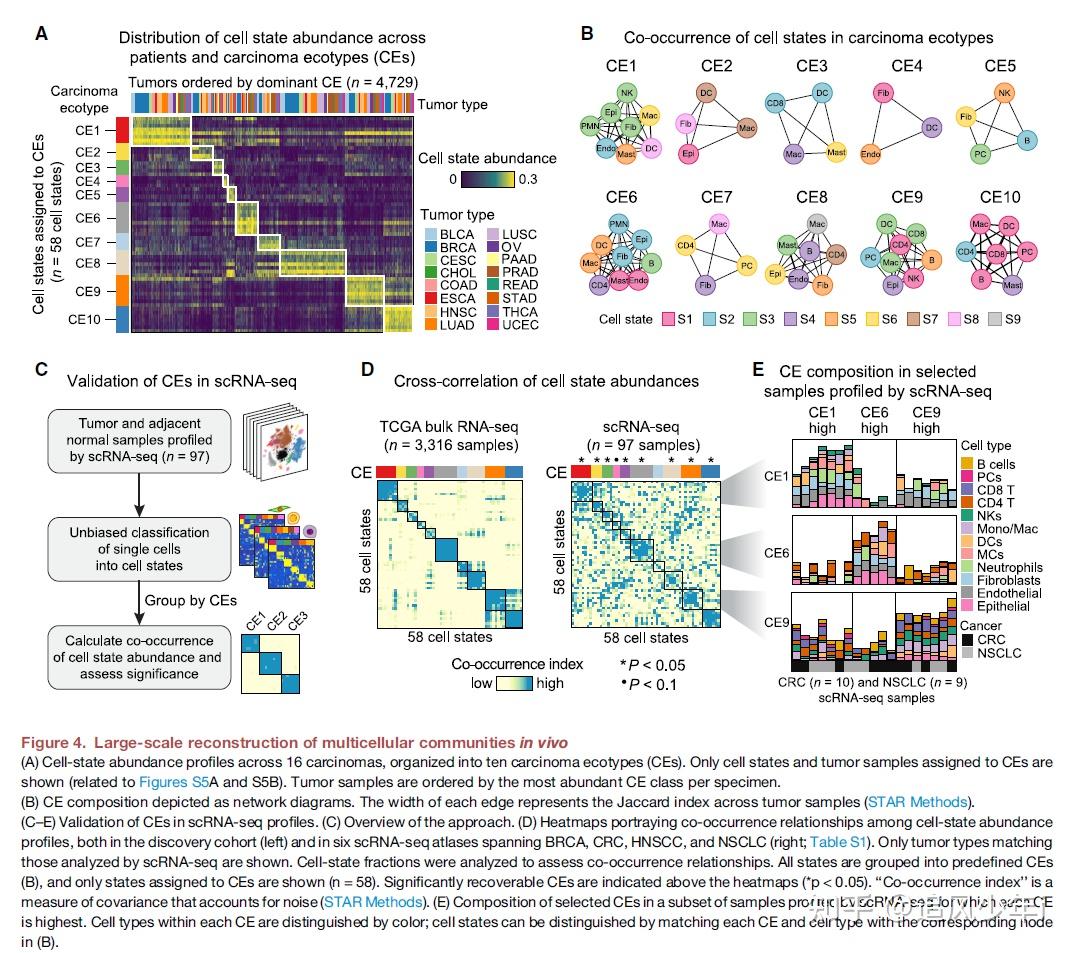 10X单细胞空间数据分析之表征细胞状态和生态型（EcoTyper） - 知乎