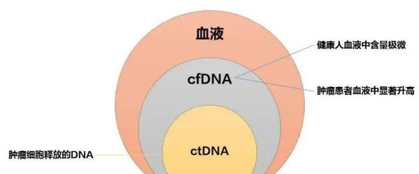 科普讲堂 | 一起走进ctDNA（循环肿瘤DNA） - 知乎