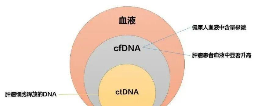 科普讲堂 | 一起走进ctDNA（循环肿瘤DNA） - 知乎