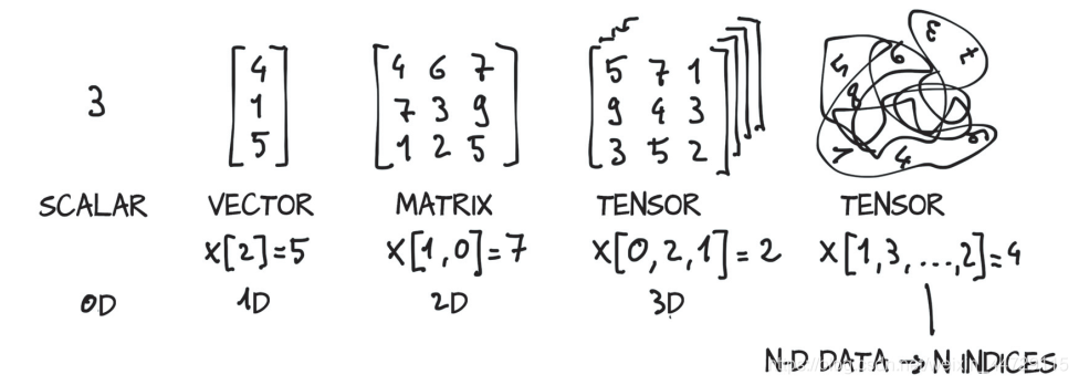 pytorch 中常见的 tensor 操作 - 知乎