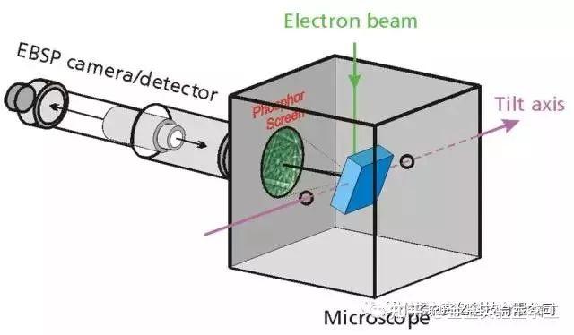 干货 | EBSD晶体学织构基础及数据处理！ - 知乎