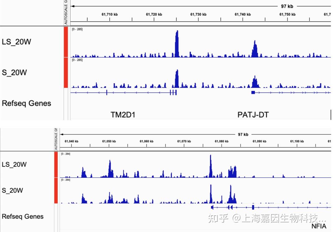 Rloop追星，上海嘉因R-loop CUT&Tag 2.0强势来袭 - 知乎