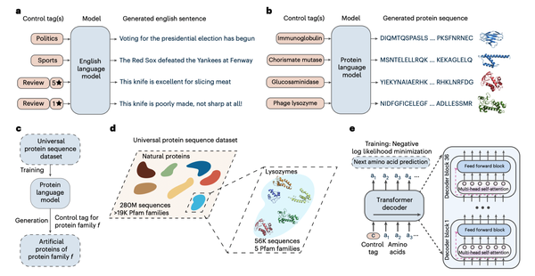 生物界ChatGPT？ProGen，超越自然的存在？ - 知乎