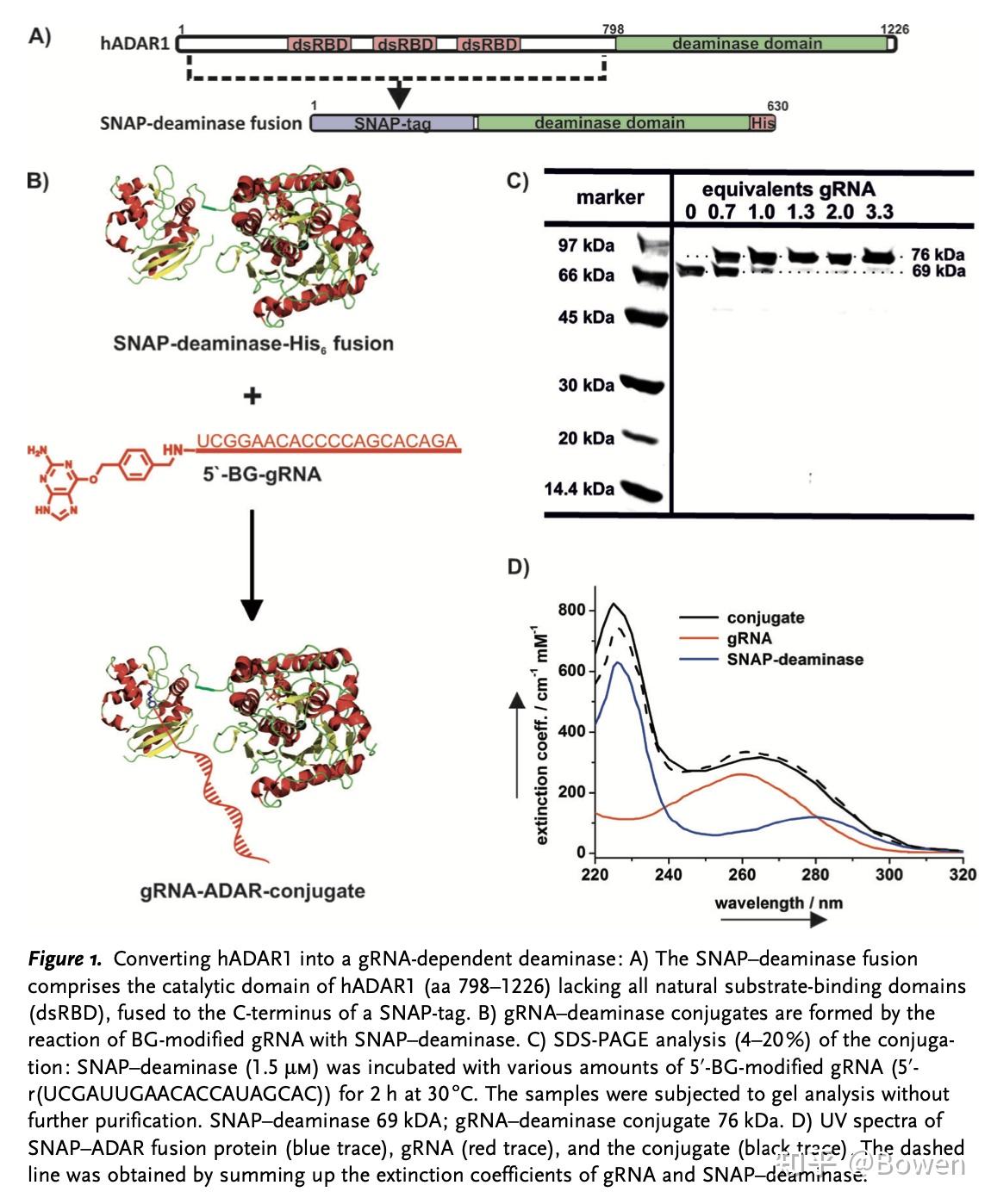 RNA Editing发展历程 - 知乎